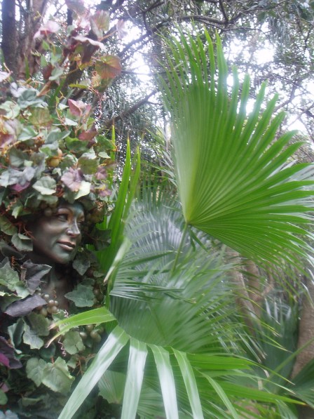 DiVine at Disney’s Animal Kingdom | Lance Around Orlando